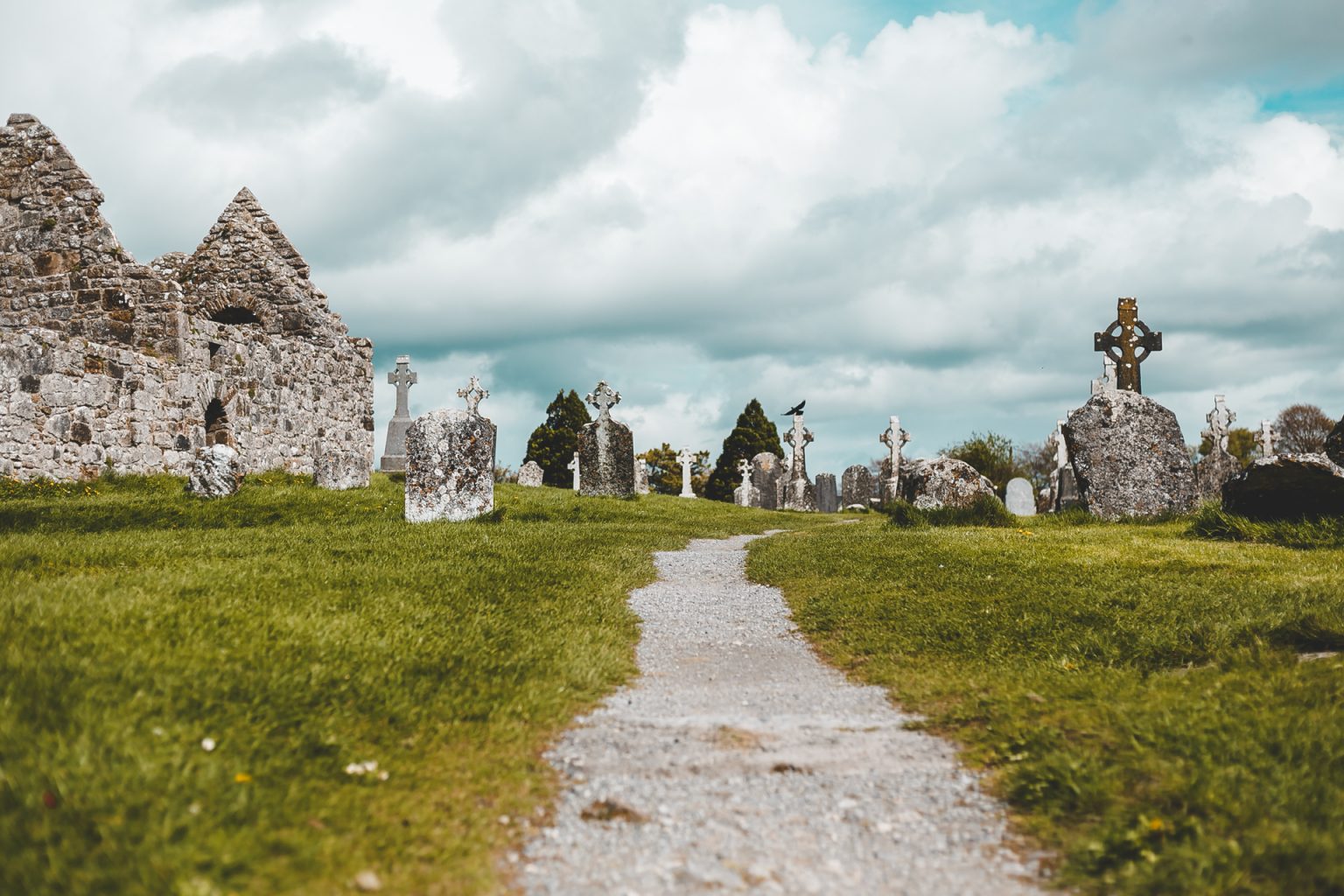 Irish Culture – Shamrock Blog